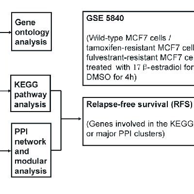 The Diagram Of The Workflow And Datasets Download Scientific Diagram