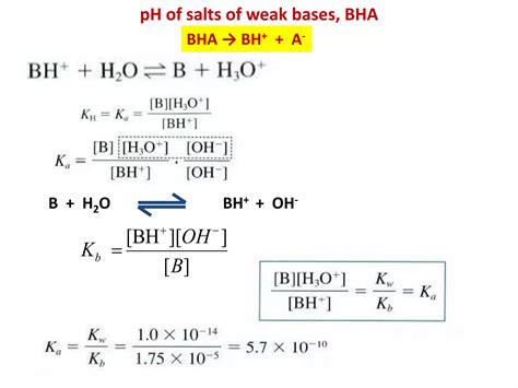 Chapter 7 Acids And Bases PDF Chemistry Science