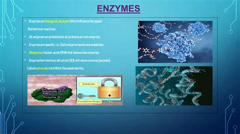Enzyme Ppt Pptx