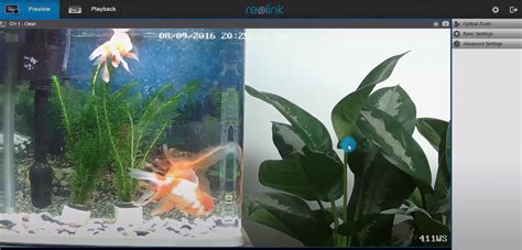 Download Reolink For PC Free For Windows Mac