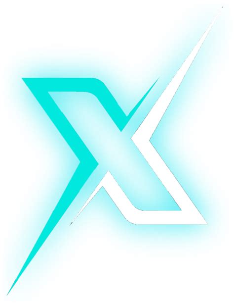 Team XX Liquipedia Overwatch Wiki