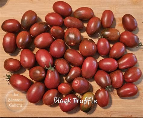 Black Truffle Plum Tomato 10 Seeds Etsy