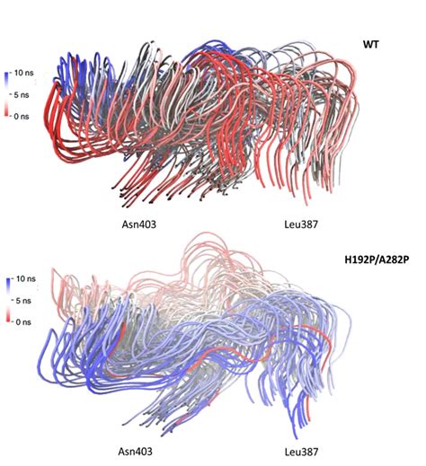 文献中那些很棒的图 （生物的物理的化学的） 都是用什么软件画的？ 知乎