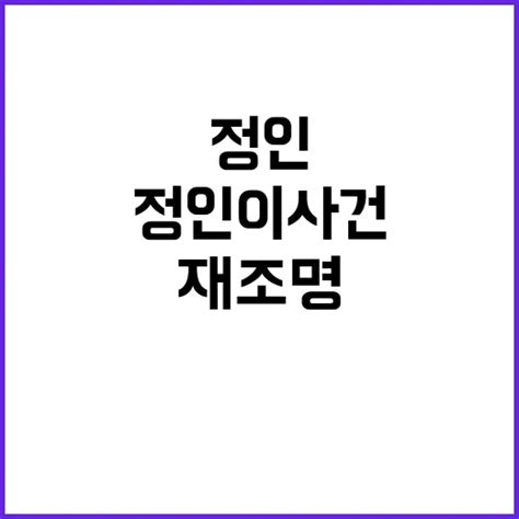 정인이 사건 전국 분노 입양 시스템 재조명 뉴스다오