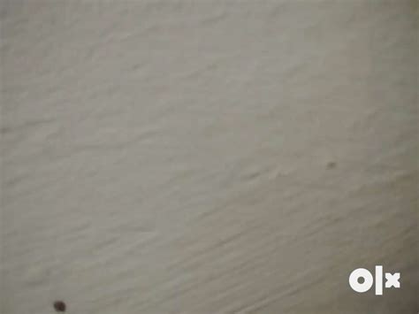 1 Room Kitchen On Rent Pragati Nagar Sonkatch For Rent Houses