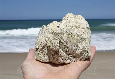 How To Identify Ambergris Ambergris Shape Colour Size And Smell