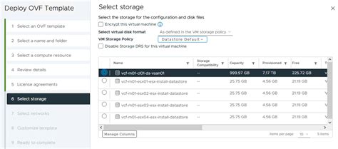 Add An Iscsi Datastore As Supplemental Storage For A Management Domain Using Ontap Tools For