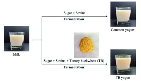 Yogurt Flowchart