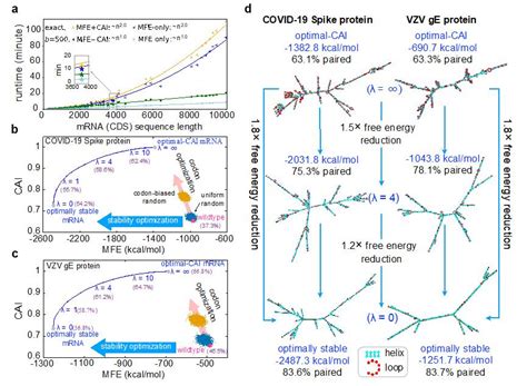 Immunogenicity Enhanced By 128 Times Baidu Mrna Vaccine Optimization Algorithm Listed On Nature