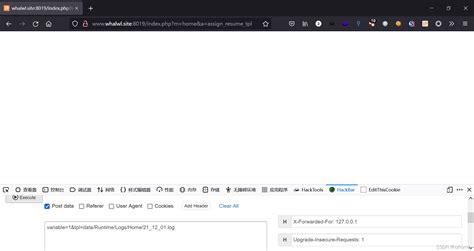 74cms漏洞复现 csdn博客