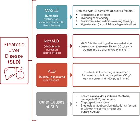 美國糖尿病學會公布新的代謝功能障礙相關脂肪肝 Masld指引 孫銘聰醫師｜代謝與減重門診
