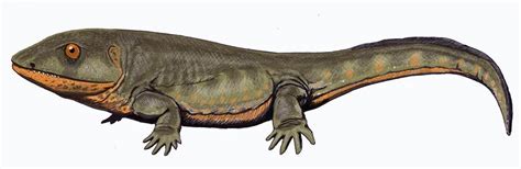 Geol 331 Principles Of Paleontology