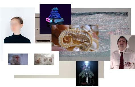 Peripheral Fixation 2015 Themed Commission Exhibition