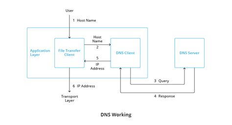 Dhcp Vs Dns Whats Their Differences And How They Works Fs Community