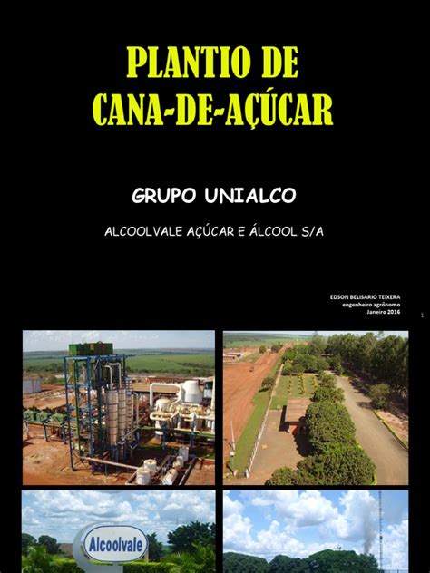 Plantio Da Cana De Acucar Edson Belisario Alcoolvale Pdf Cana