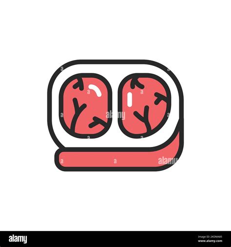 Beef Steak Color Line Icon Pictogram For Web Page Mobile App Promo Beef Steak Color Line Icon Pictogram For Web Page Mobile App Promo