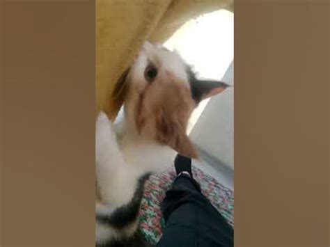 Клепа - YouTube