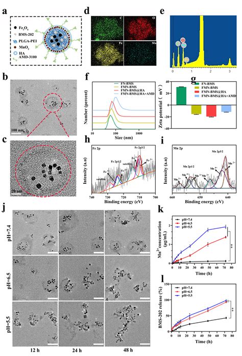 Nanotoday：多功能纳米平台实现影像指导化学动力治疗 Cxcr4拮抗 Pd L1阻断协同治疗乳腺癌 公司新闻 南京东纳生物科技有限公司