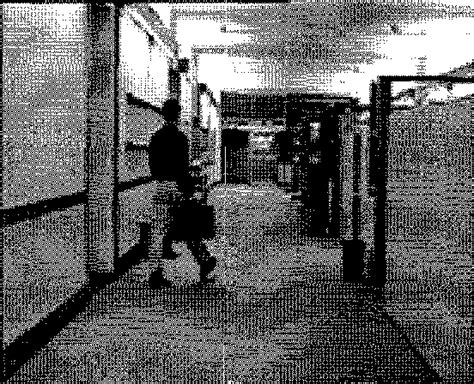 Figure 2 From Region Based Motion Compensated 3d Wavelet Transform Coding Of Video Semantic