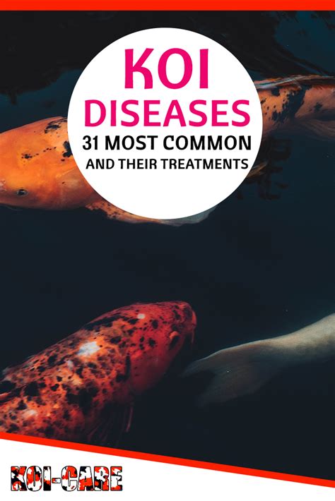 Pin On Dealing With Koi Diseases