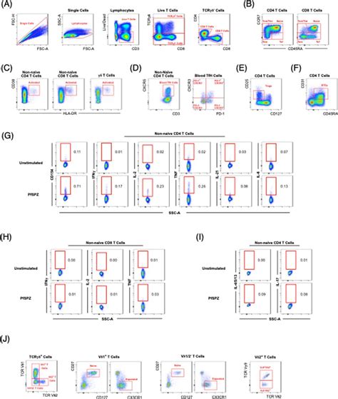 Flow Cytometry Gating For Analysis Of T Cells Ag Cellular Gating