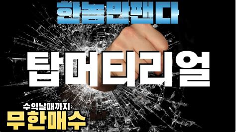 탑머티리얼이 한놈만팬다의 매수포인트로 선정된 이유와 자리를 설명해드립니다 탑머티리얼인벤티지랩와이투솔루션대보마그네틱동화기업에스와이스틸텍이스트소프트에스오에스랩