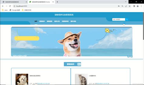 基于javaweb宠物领养互助管理系统 Csdn博客