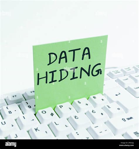 Conceptual Display Data Hiding Business Overview Secretly Embedding