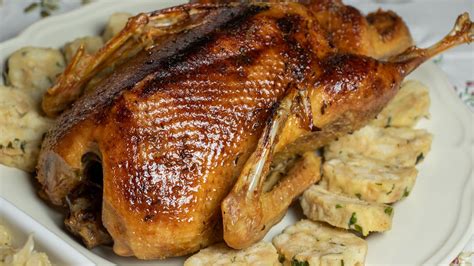 Dvanáctihodinová Kachna Fotografie 6 Topreceptycz