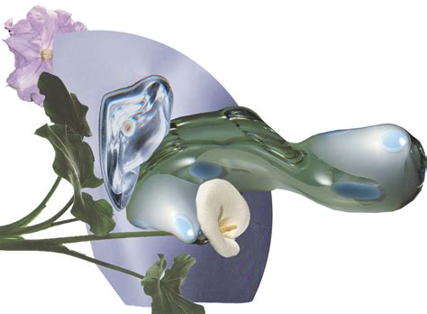 Queering The Sex Binary Decolonial Biology Queer Feminist Theories Prospects To Queer Futures