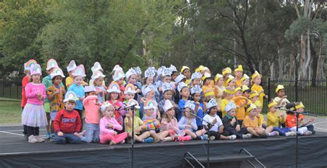 Chris Shaddock Chris Shaddock Twitter