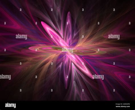 Fractal Flower This Image Was Created Using Fractal Generating And