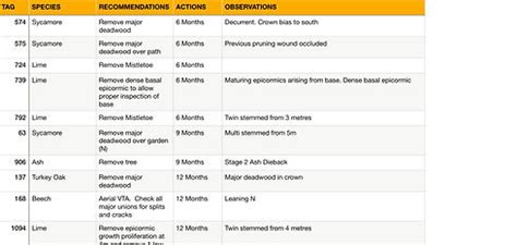 Tree Surveys Edinburgh Treetonic Tree Surveys Edinburgh Treetonic