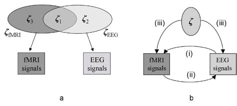 Formalization Of The Eegfmri Coupling Uncoupling A And Eegfmri