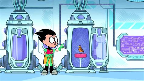 Teen Titans Go Super Robin