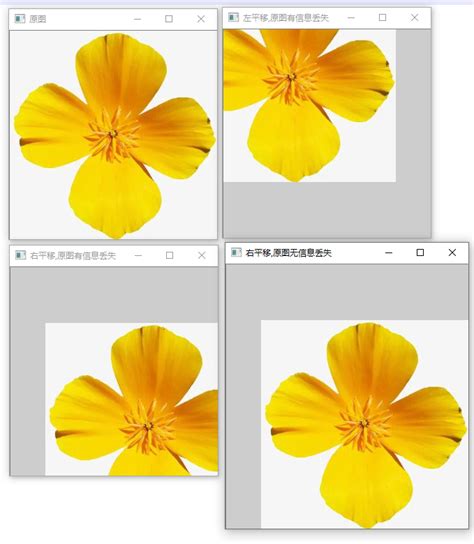 使用opencv对图像进行两种平移操作 图像的尺寸变化与图像的尺寸不变 mfc opencv移动图像 csdn博客