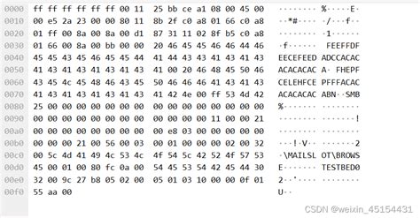 Pcap包的包头与负载解析，制作数据集pcap包解析 Csdn博客