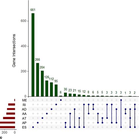 An Upset Plot Displaying The Intersections Of Different Types Of Download Scientific Diagram