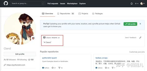 漂亮的github个人总览 ，原来这么容易实现 知乎