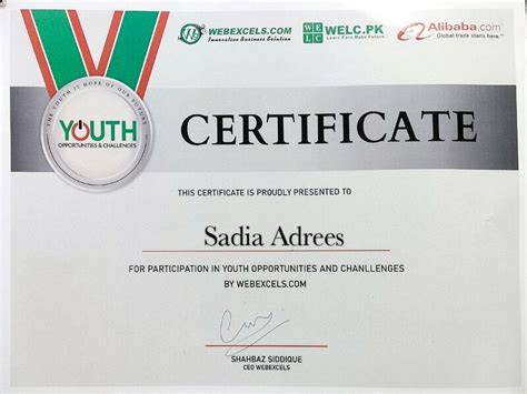 Sadia Adrees On Linkedin Webexcels Youth Challanges Opportunities Personaldevelopment…