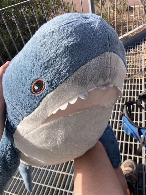 Blahaj Cleaning Question R Blahaj