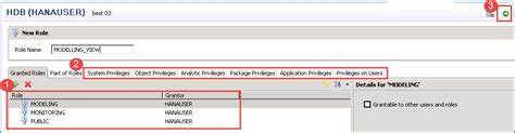 Sap Hana Security Complete Tutorial