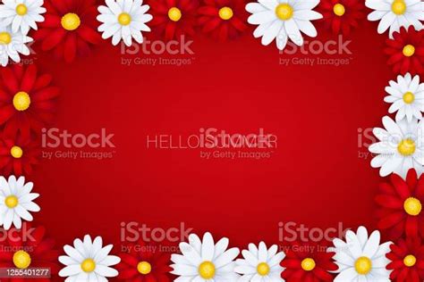 안녕하세요 여름 배너 흰색과 빨간색 데이지 꽃 배경 글자를 가진 사실적인 벡터 그림입니다 0명에 대한 스톡 벡터 아트 및 기타 이미지 Istock