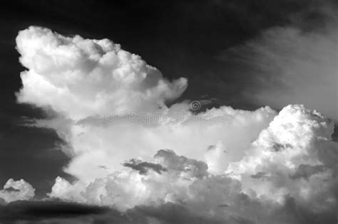 Nature Background 2617 Stock Image Image Of Texture 319794227