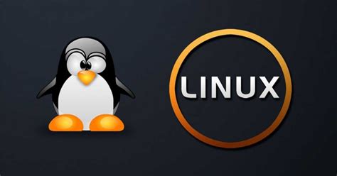 Linux App Store Já Há Uma Loja De Aplicações Genérica Para Linux