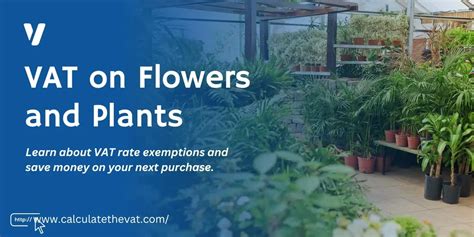Unlocking Secrets Of Vat On Flowers What You Need To Know