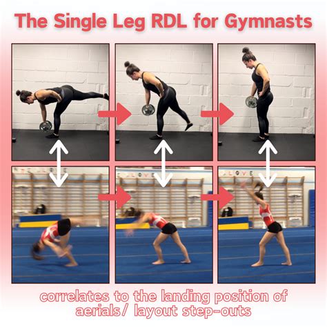 Why The Single Leg Rdl Is The Perfect Lower Body Exercise For Gymnasts