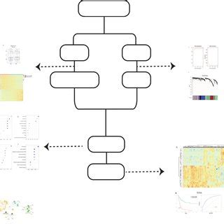 A Flowchart Of The Research Activities WGCNA Weighted Gene Download Scientific Diagram