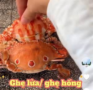 Phân Biệt 5 Loại Ghẹ Phổ Biến