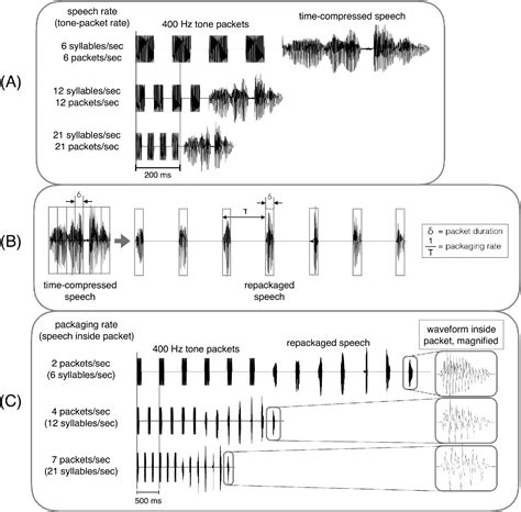 Figure 1 From The Possible Role Of Brain Rhythms In Perceiving Fast Speech Evidence From Adult